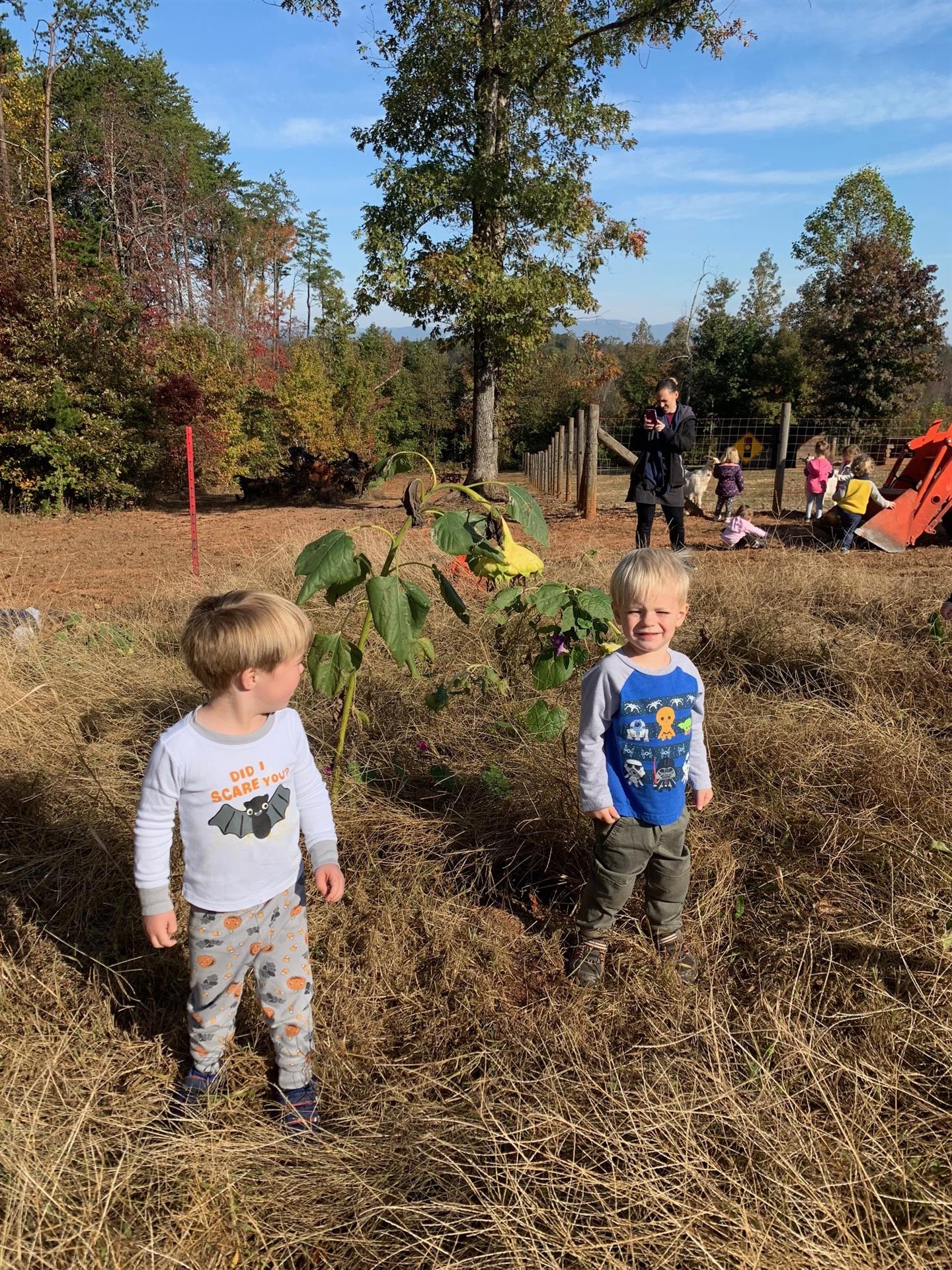 Mountain Montessori | Montessori School in Greenville SC